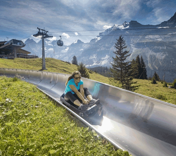 Attraction Camera System for Roller Coaster, Waterslides, Zip lines ...